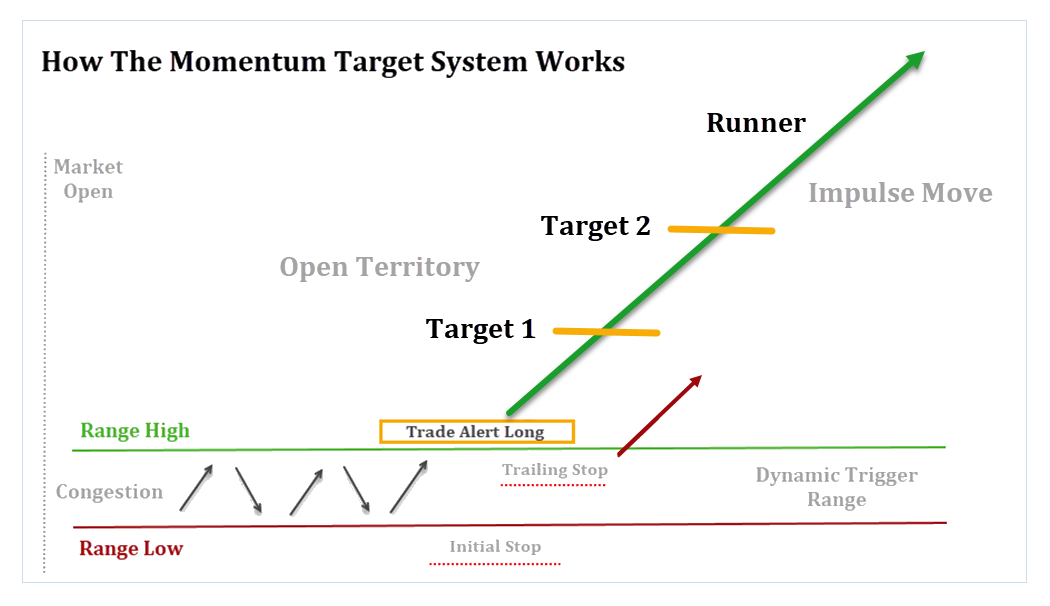 Momentum Target System